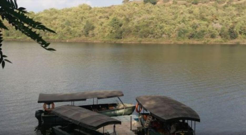 River Tern Lodge | Jungle Lodges