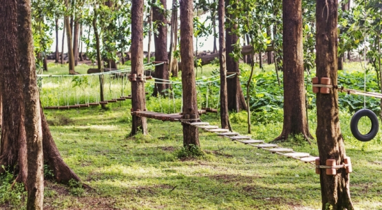 Devbagh Beach Resort | Jungle Lodges