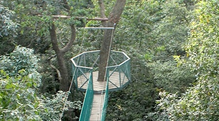 Activities - Jungle Lodges