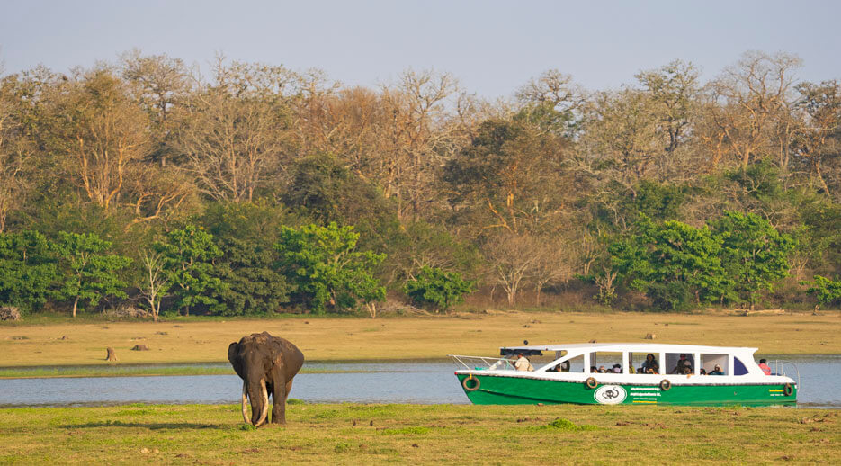 Resorts in Kabini - Kabini resorts | Jungle Lodges