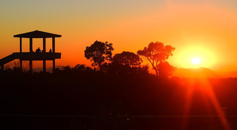 Kemmannugundi Hill Resort - Jungle Lodges
